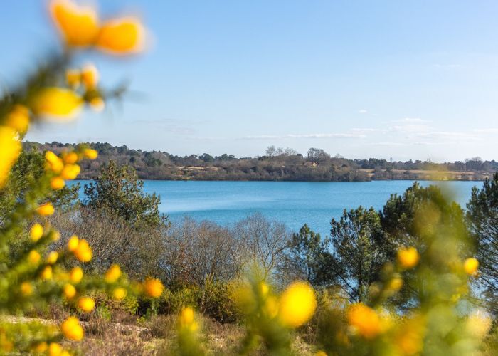 Ce lac naturel dans les Landes est un vrai coin de paradis