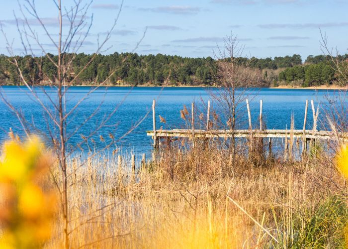 Ce lac naturel dans les Landes est un vrai coin de paradis
